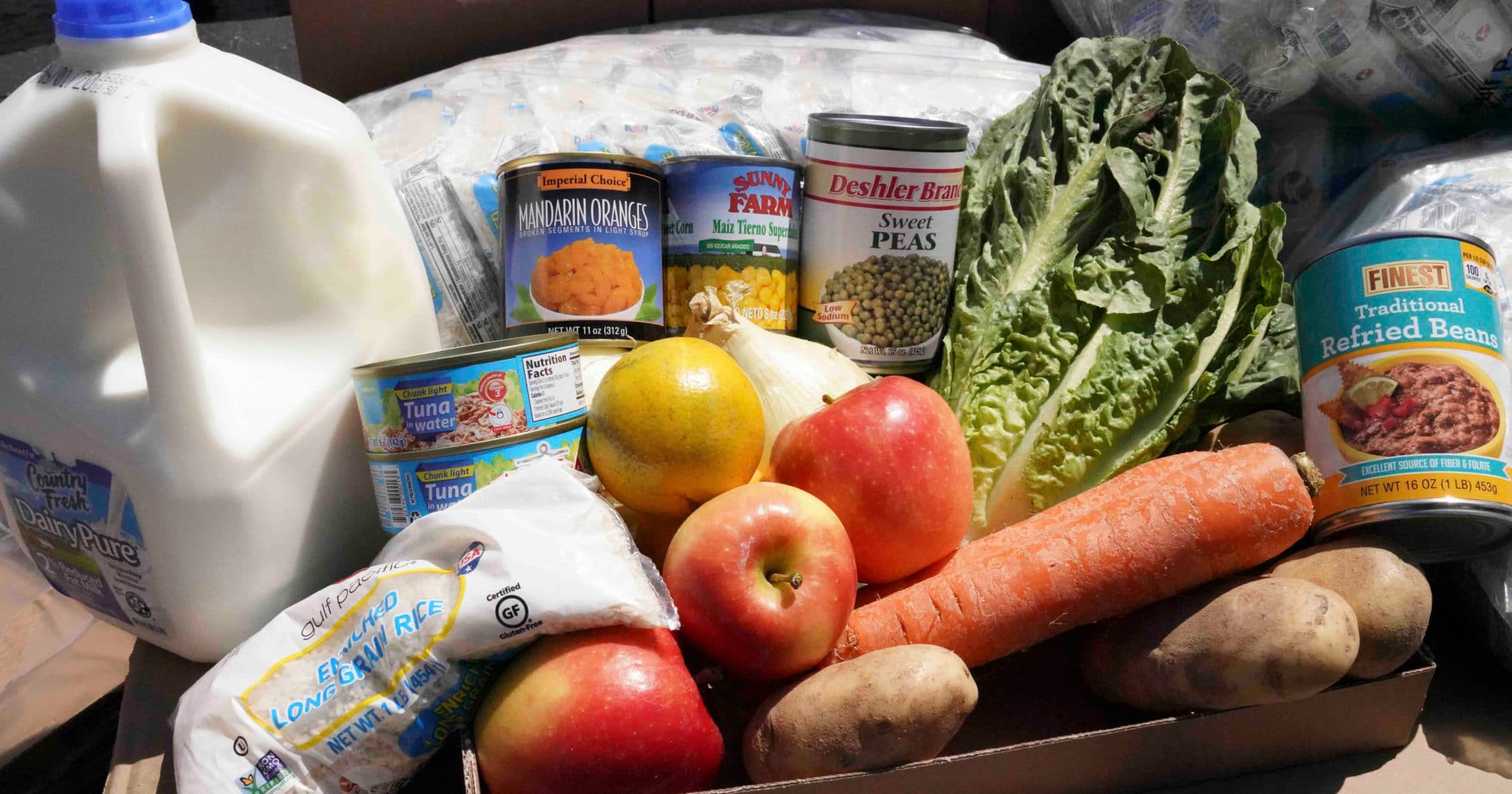 Immediate Relief Starts with Food | Gleaners Community Food Bank